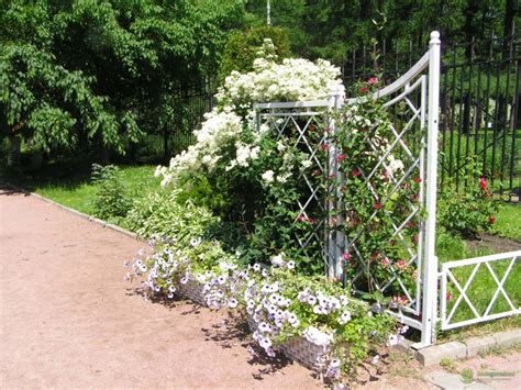 Comment fabriquer un support pour rosier grimpant ancien ou à planter