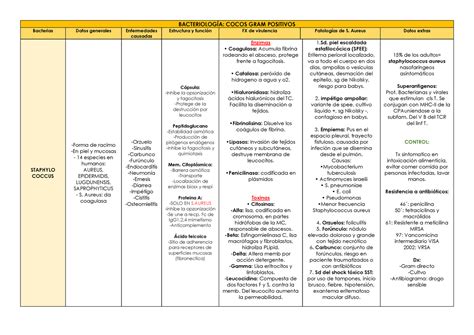 Cuadro de bacterias BACTERIOLOGÍA COCOS GRAM POSITIVOS Bacterias