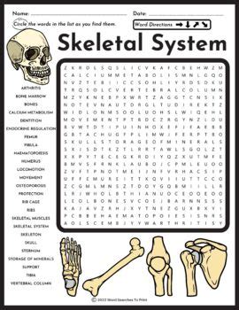 Skeletal System Word Search Puzzle By Word Searches To Print TpT