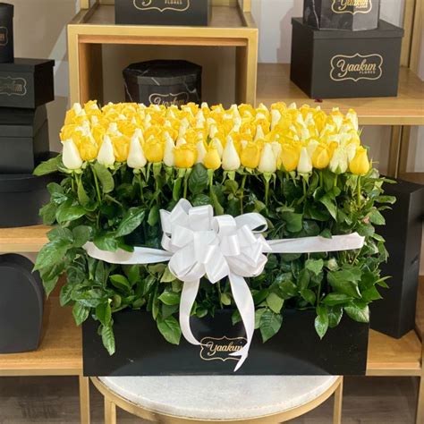 150 rosas amarillas y blancas jardín en caja negra Yaakun Flores