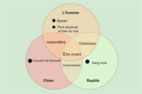 6 Modèles de diagramme de Venn à télécharger gratuitement