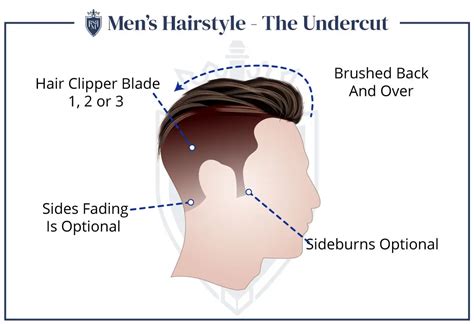 10 Most Attractive Mens Hairstyles Best Haircuts For Men LaptrinhX