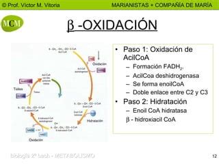 BETA OXIDACION AC GRASOS PPT