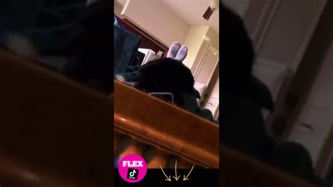 New Bugs Bunny Challenge TikTok 2021 Tiktok Challenge Bugsbunny