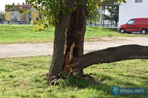 FOTO Nevrijeme je sinoć rušilo stabla grom udario u vikendicu i
