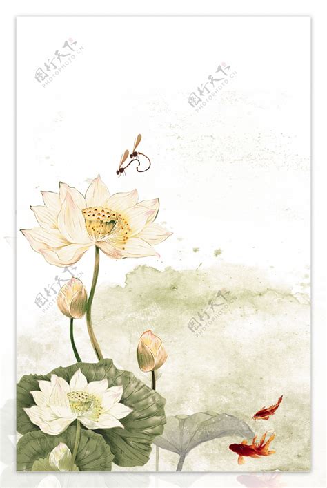 水墨画蜻蜓停在莲花上大图下载图片素材 编号28427219 图行天下