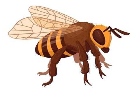 Abeja De Dibujos Animados Abeja De Miel Insecto Bonito Abejorro A Rayas