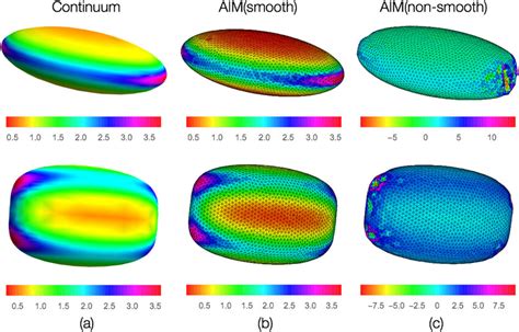 on the left we have the embedding using the continuum equations in the download scientific