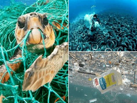 DÍA MUNDIAL DE LOS OCÉANOS CESE Consultores