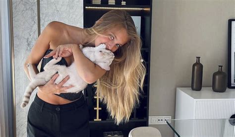 A Melhor Terapia Em Quatro Patas As Vantagens De Ter Um Gato