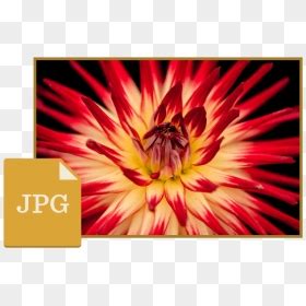 Library Of Javascript Icon Graphic Freeuse Png Files Logo Transparent