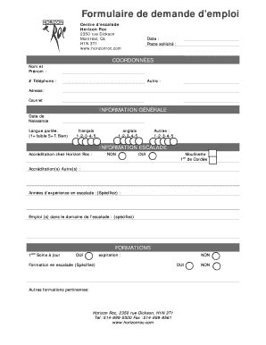 Fillable Online Formulaire De Demande Demploi Horizon Roc Fax Email