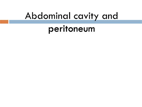 SOLUTION Abdomen Cavity Studypool