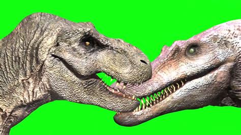 JURASSIC PARK III T Rex Vs Spino Tyrannosaurus Spinosaurus Dinosaur