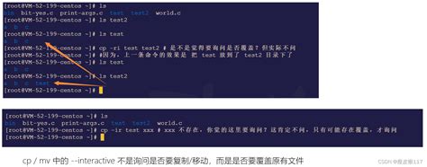 linux的基本使用（二）文件操作命令 rm rf 后面加{} csdn博客