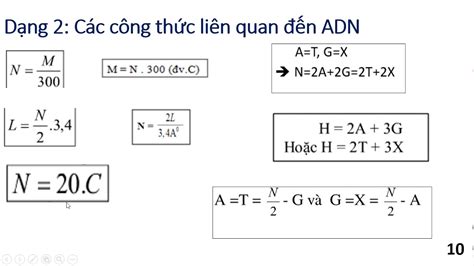 Sinh H C B I T P D Ng C C C Ng Th C Li N Quan N Adn Youtube