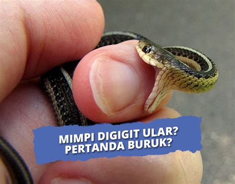 Ungkap 20 Arti Mimpi Digigit Ular Pertanda Keberuntungan