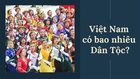 Vi T Nam C Bao Nhi U D N T C Hi N Nay C I M C C D N T C T I N C Ta