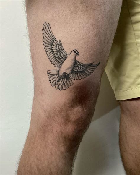 Ngh A C A H Nh X M Dove Tattoo V Nh Ng M U C C P