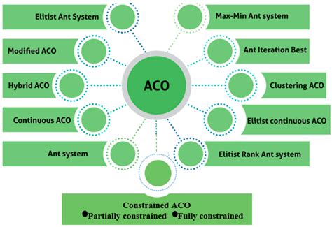 water free full text ant inspired metaheuristic algorithms for combinatorial optimization