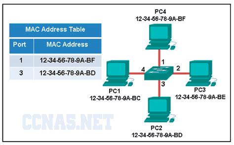 CCNA 1 V6 0 Chapter 5 Exam Answers 2019 100
