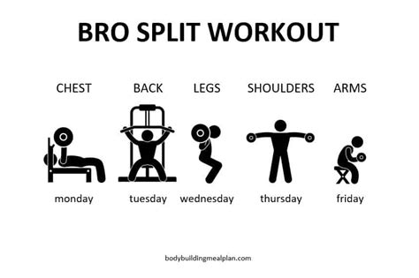 Bro Split Workout Routine Increase Volume Without Hurting Recovery