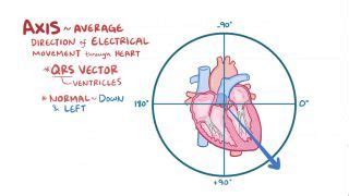 Electrocardiography Notes Diagrams Illustrations Osmosis