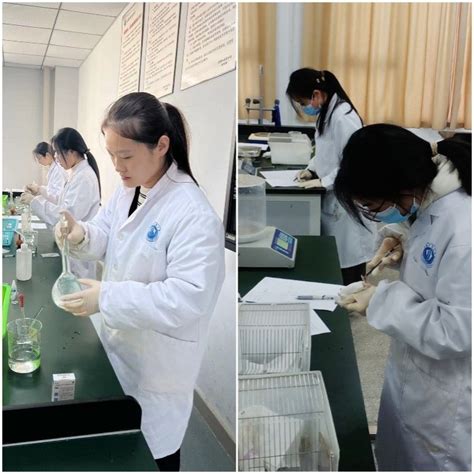 我校学生在第七届全国医药院校药学 中药学专业大学生实验技能展示活动中获佳绩 药学院
