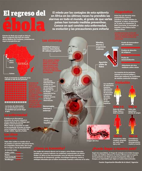 VIRUS DEL EBOLA La OMS alerta de que varios supervivientes de ébola r