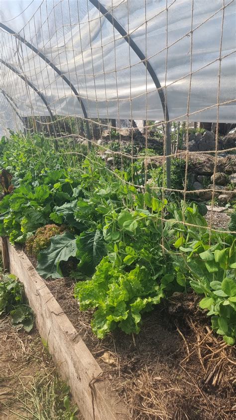 Programme 2024 Jardin du Tilleul activités en permaculture