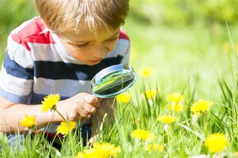 Actividades Para Realizar En Casa Con Ninos Durante El Invierno