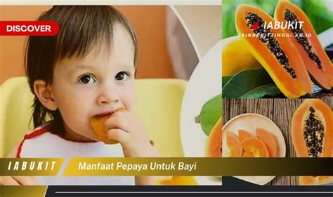 Temukan 7 Manfaat Pepaya Untuk Bayi Yang Jarang Diketahui Bikin Kamu
