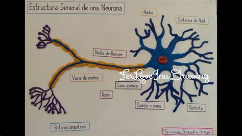 Como Hacer Una Maqueta De Una Neurona Con Material Reciclable