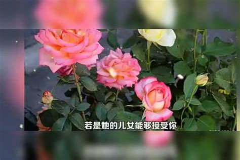 想追上四五十岁的女人，做好这件事，她肯定不会拒绝