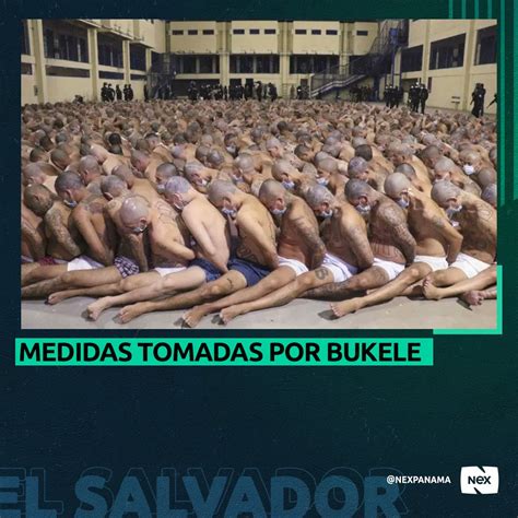 Halcon Pty On Twitter Rt Nexpanama As Tiene Bukele