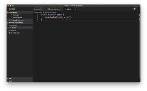 VSCode 支持JavaScript 极客教程