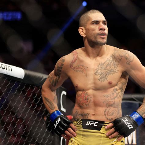 Top 999 Alex Pereira Wallpapers Full HD 4K Free To Use