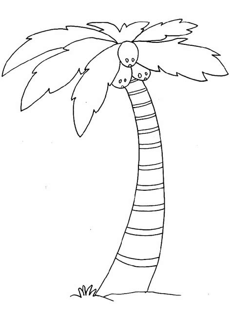 Coloriage Un Palmier télécharger et imprimer gratuit sur