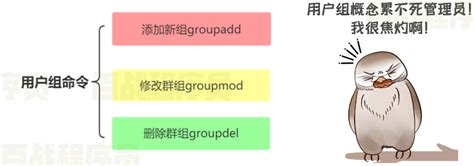 linux用户组管理 【官方】百战程序员 it在线教育培训机构 体系课程在线学习平台