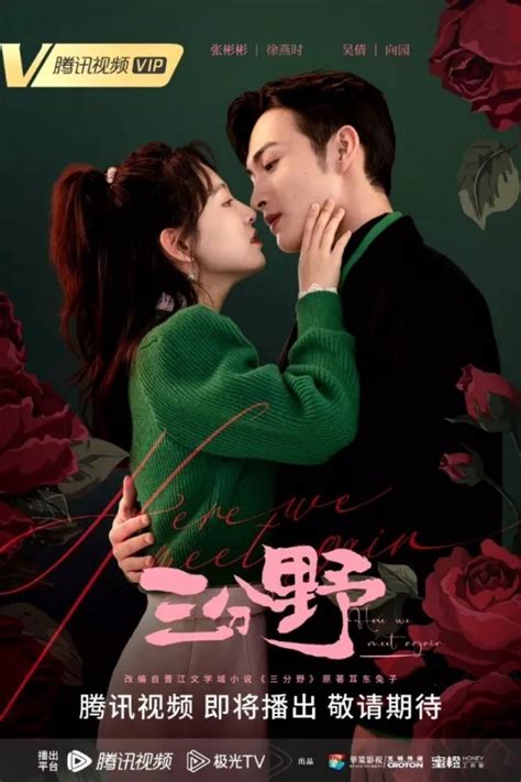 Aquí Nos Volvemos a Encontrar Por qué ver este C Drama de romance