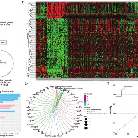 Over Expression Of CTSK Associated IL 17A In Castration Resistant