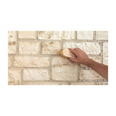 Pack PAREXLANKO Joint authentique pour plaquettes blanc cassé 7 5kg