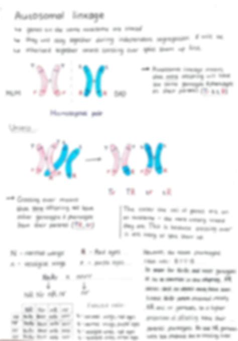 solution inheritance dihybrid cross autosomal linkage sex linkage epistasis hardy weinberg