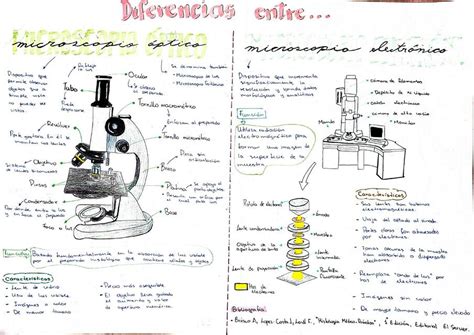 Diferencias entre microscopio óptico y microscopio electrónico Carla
