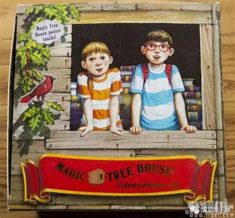 英文桥梁书Magic Tree House 神奇树屋1 28册原版非点读 爱贝亲子网 入学入园互动交流 关爱孩子 关注教育