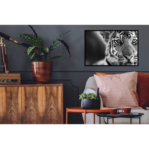 MuchoWow Poster encadré Tigre louveteau noir blanc Tableau deco