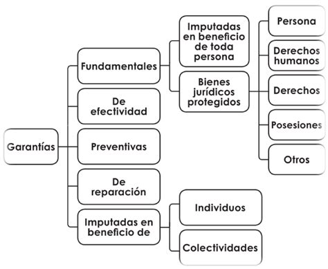 Garantias Constitucionales En Materia De Derechos Humanos Material