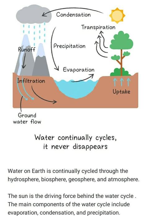 Pretend That You Are A Drop Of Water In A Glass Describe Your Travels
