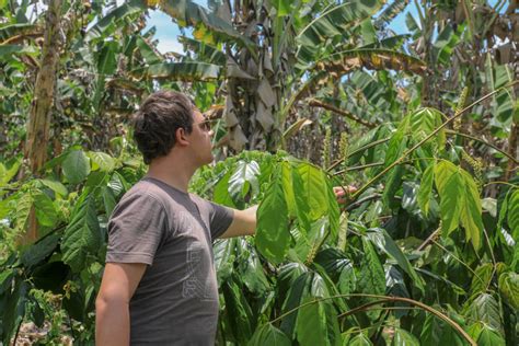 Recette de la pâte d amande maison Magazine du Comptoir de Toamasina
