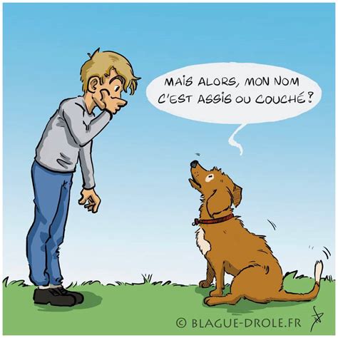 Blague animaux Blagues drôles et devinettes sur les animaux